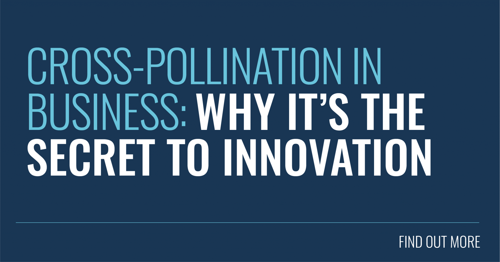 The Secret to Innovation & Cross-Pollination in Business
