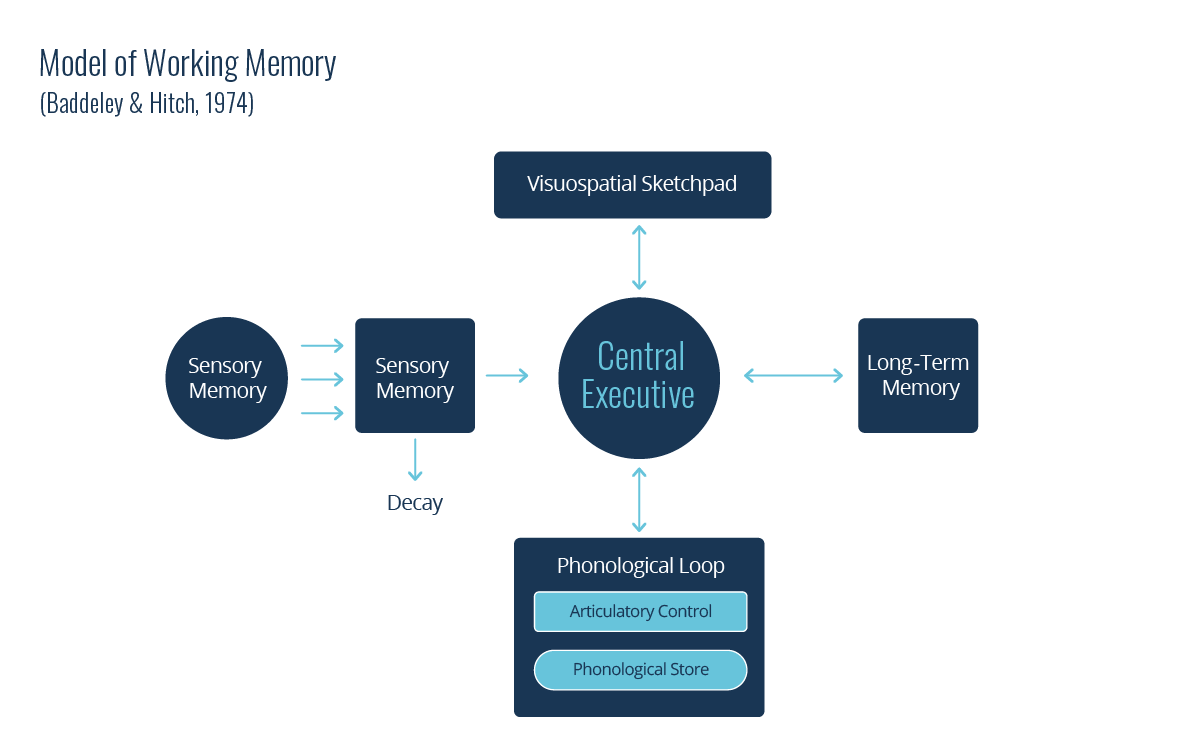 What Is Information Processing Theory Growth Engineering