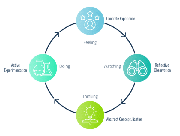 Kolb's Experiential Learning Cycle: A Complete Guide - Growth Engineering