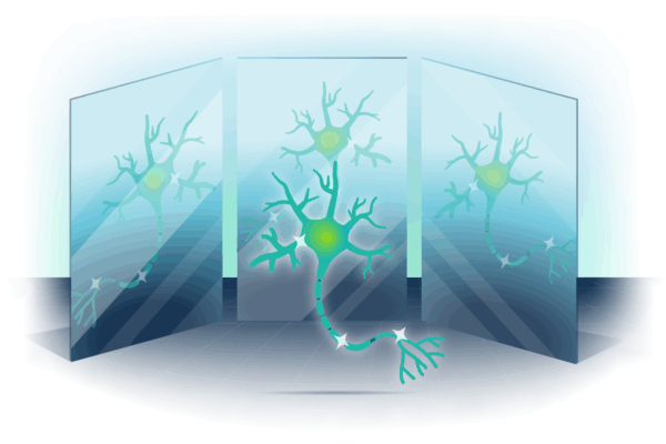 Mirror Neurons: How The Brain’s Empathy Circuit Fuels Social Learning ...