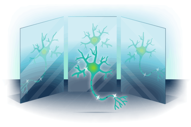 Mirror Neurons: How The Brain’s Empathy Circuit Fuels Social Learning ...