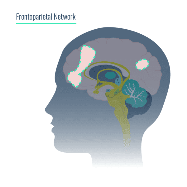 Wired for Innovation: Exploring The Science of Creativity - Growth Engineering